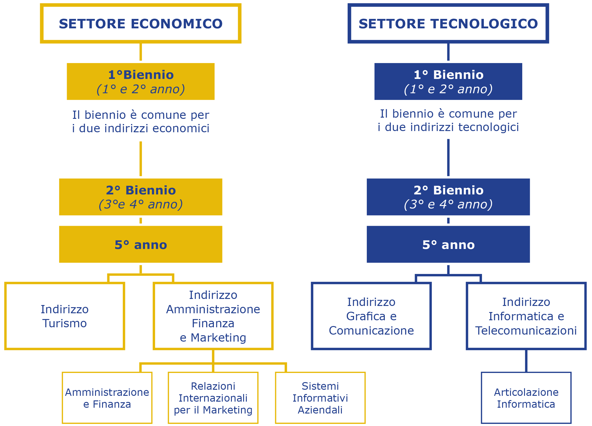Articolazione Corsi – Istituto Tecnico Commerciale e Tecnologico